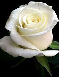 Avis de décès de Joseph GUSTIN décédé le 21/08/2016 à Seneffe : annonce ...